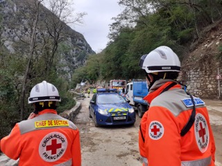 RED ROSES: A Comprehensive Approach to Cross-Border Natural Disaster ...